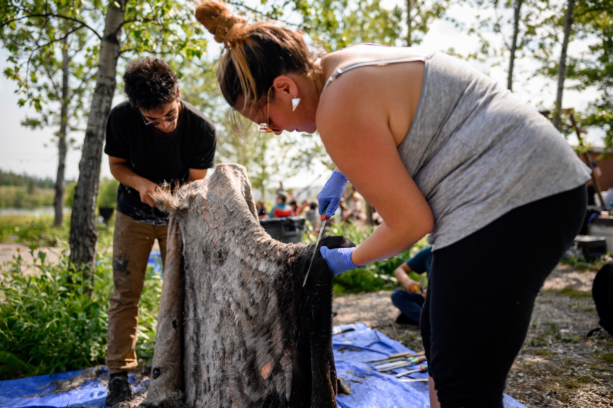 Moosehide Tanning - Indigenous Yukon